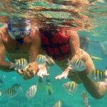 Catamaran Party Boat And Snorkeling Experience - The Value of the Tour
