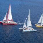 Catamaran Party Cruise To Dunns River Falls - First Stop: Scotchies Drax Hall for Jerk Flavors