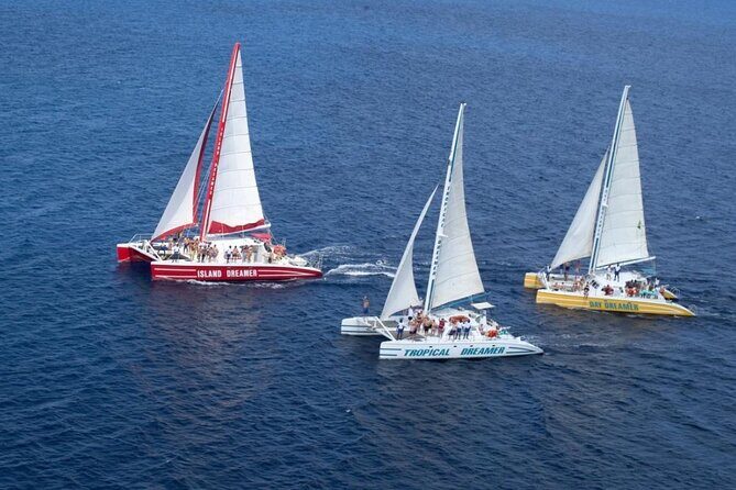 Catamaran Party Cruise To Dunns River Falls - First Stop: Scotchies Drax Hall for Jerk Flavors