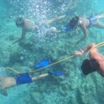 Catamaran Party, Hooka Diving and Paragliding Tour - Authentic Feedback and What Travelers Say