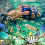 Catamaran party in Punta Cana with open bar, music and more - What the Experience Feels Like