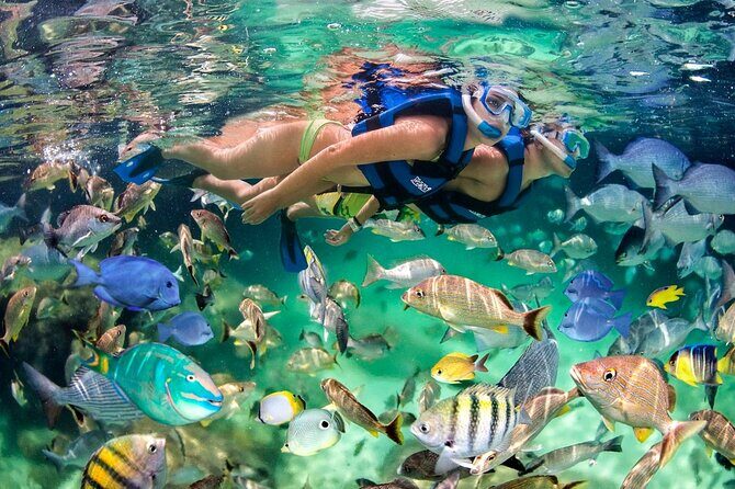 Catamaran party in Punta Cana with open bar, music and more - What the Experience Feels Like