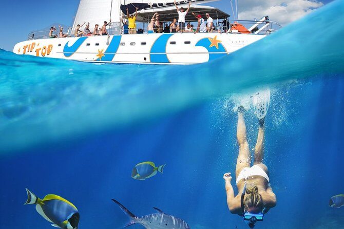 Catamaran Snorkeling All-Inclusive Day-Trip - Authentic Experiences Shared by Travelers