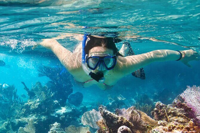 Catlina Island | Free Diving and Transportation - What Travelers Are Saying (Based on Reviews)