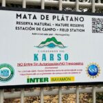 Cave, Bats and Boas Night Tour - Puerto Rico - Final Thoughts: Is This Tour Worth It?