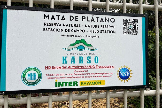 Cave, Bats and Boas Night Tour - Puerto Rico - Final Thoughts: Is This Tour Worth It?