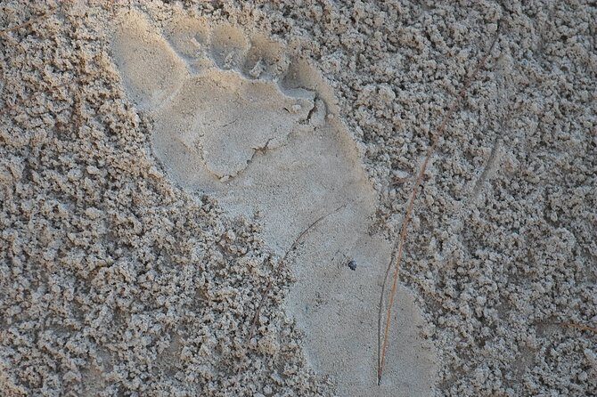 Cave Explorer Plus Waterfalls Tour From Falmouth Private Driver - Authenticity and Value