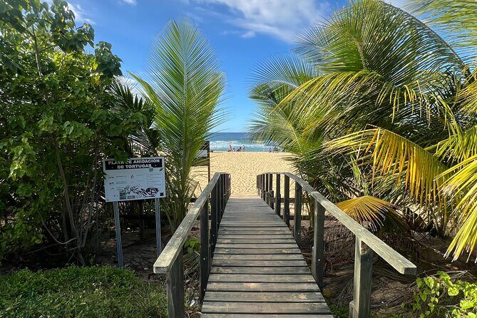 Caves Coastlines and Beach; Cueva del Indio, Arecibo Adventure - Why This Tour Offers Great Value