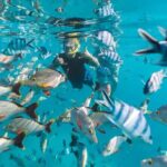 Cayman 2 in 1 Combo Tour Stingray City Reef Snorkel Adventure - Final Thoughts