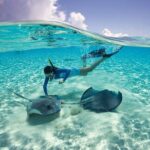 Cayman 3 in 1 Adventure Reef Snorkeling, Starfish and Stingrays - Why We Think This Tour Is Worth Considering