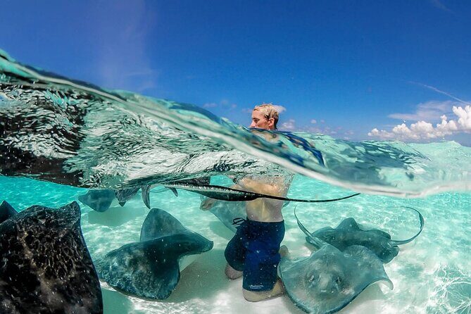 Cayman Adventure Stingrays Starfish plus Crystal Caves - An In-Depth Look at the Tour Experience