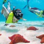 Cayman Combo Tour: Stingrays, Starfish Point and Crystal Caves - Detailed Breakdown of the Itinerary