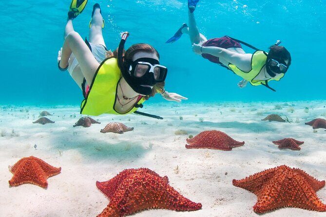 Cayman Combo Tour: Stingrays, Starfish Point and Crystal Caves - Detailed Breakdown of the Itinerary