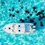 Cayman Private Luxury Charters - Stingray City, Snorkel, & More - Additional Features and Amenities