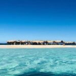 Cayo Arena & Mangroves Tour with Snorkeling & Food - What Makes This Tour Stand Out?