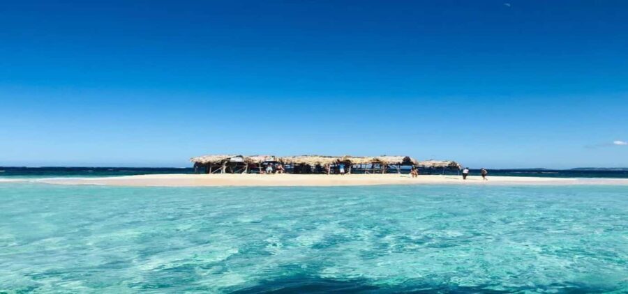 Cayo Arena & Mangroves Tour with Snorkeling & Food - What Makes This Tour Stand Out?