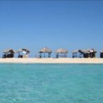 Cayo Arena: Paradise Island and Mangroves Tour - The Reality Check: Pros and Cons