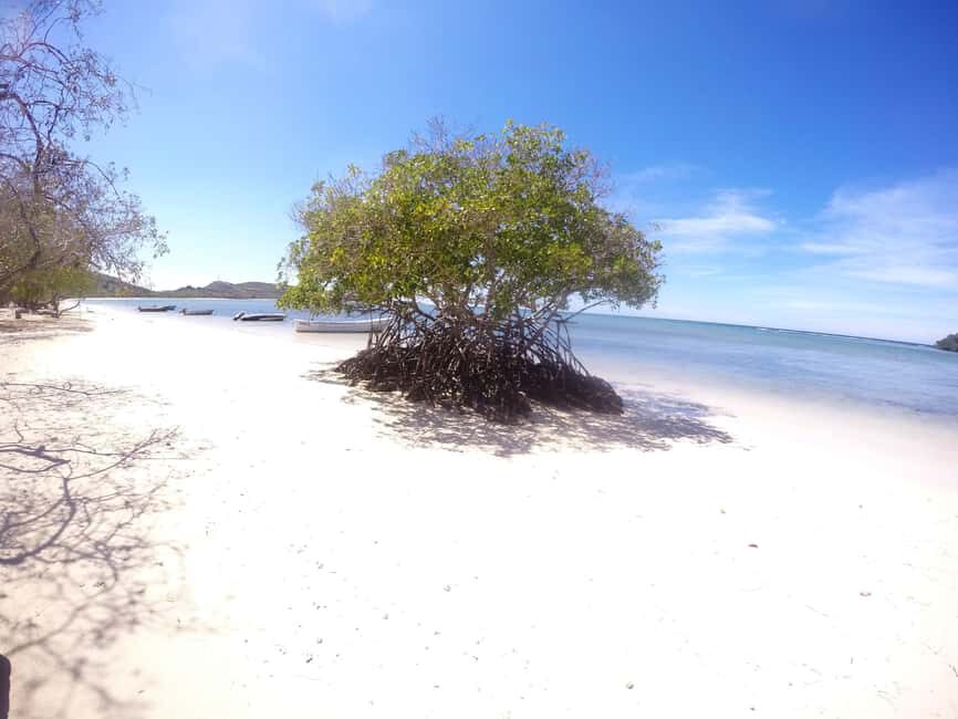 Cayo Arena: Paradise Island and Mangroves Tour - The Itinerary: What to Expect