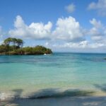 Cayo Levantado Full Day Trip from Punta Cana - Whats Included and What to Consider