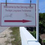 Central Long Island 3 Hour Guided Land Tour - The Itinerary: A Closer Look