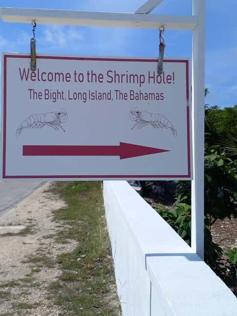 Central Long Island 3 Hour Guided Land Tour - The Itinerary: A Closer Look