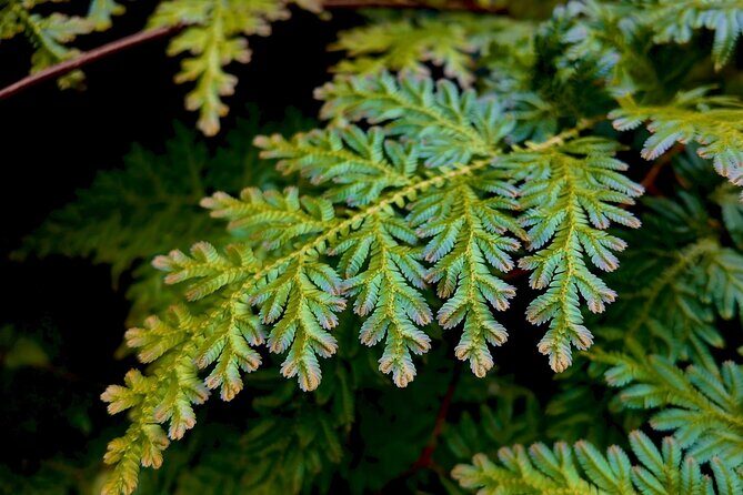 Charco Frío y Las Tinajas Experience with Provista Tours - Pricing and Value