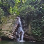 Chasing Waterfalls Experience in Tobago - What to Keep in Mind