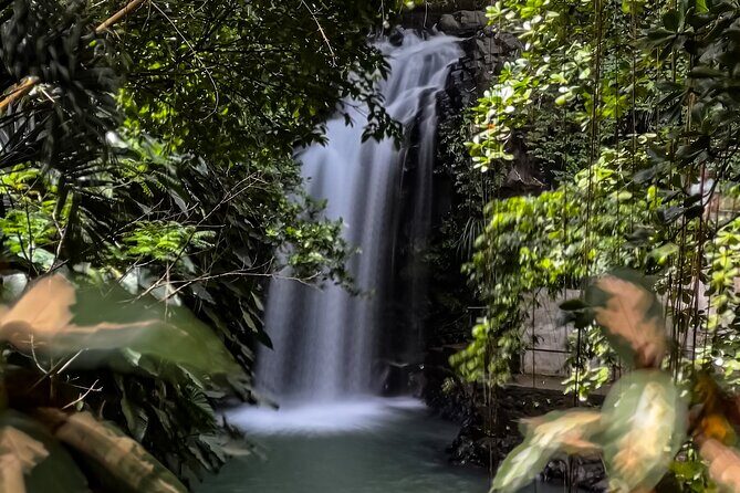 Chasing Waterfalls in Grenada Hike and Adventure Tours - Itinerary Breakdown: What to Expect