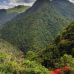 Chinchorreo Bar Hopping Tour from San Juan by DUHO - The Value of the Tour