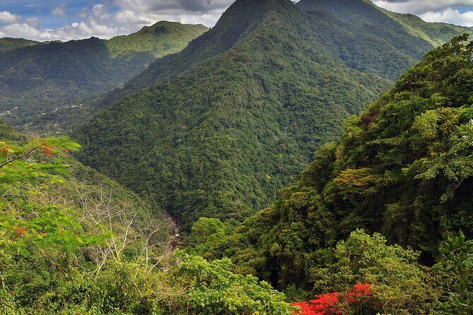 Chinchorreo Bar Hopping Tour from San Juan by DUHO - The Value of the Tour