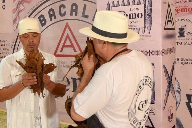 Cigar and Coffee Tasting in Puerto Plata - Details That Matter