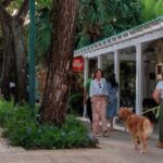 City Tour Punta Cana de Ron and Dominican Coffee and Cigars - Rum, Coffee, and Cigars: The Heart of Dominican Craftsmanship