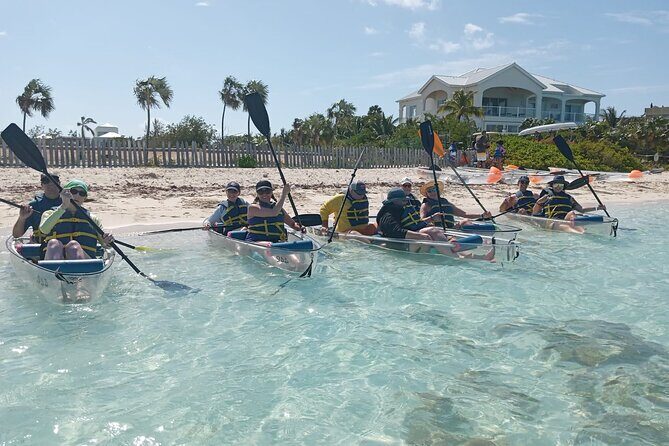 Clear Bottom Kayaks Mangrove Tour - An In-Depth Look at the Tour