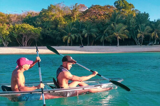 Clear Kayak Coral Reef Tour in Grenada - The Marine Environment You’ll Encounter