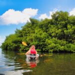Clear Kayak Tour in Mangrove Antigua - The Itinerary: What to Expect