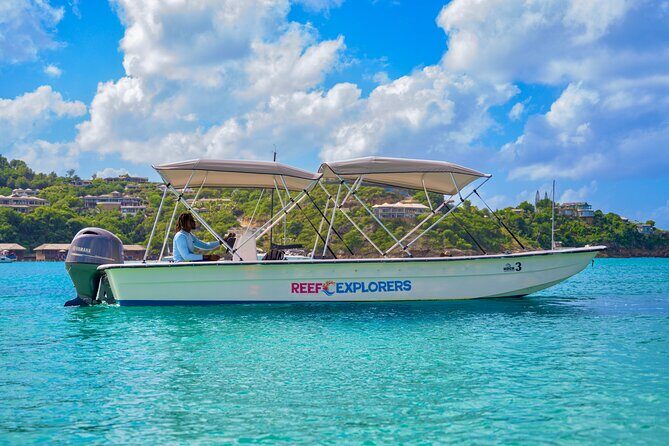 Coastal Cruise to Turners Beach Experience - Final Thoughts: Is This Tour for You?