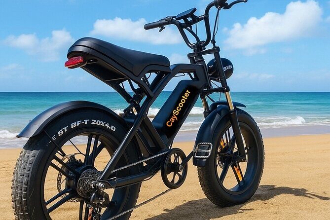 Coastal E-Bike Adventure: Full-Day Self-Guided Tour Grand Cayman - What to Expect from the Ride and Logistics