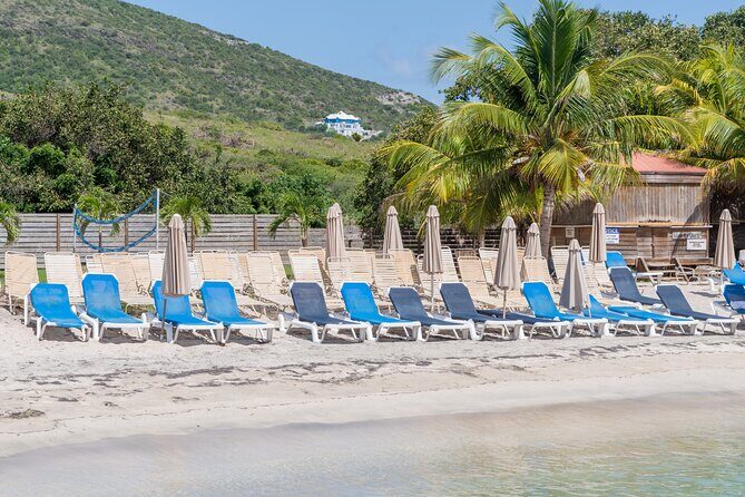 Cockleshell Beach Excursion, Snorkeling and Scenic Views - The Itinerary: What to Expect