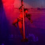 Coco Bongo Punta Cana with Transfer from Hotels Included - The Experience at a Glance