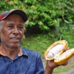 Cocoa & Artisan Chocolate Route with an Historical Tour in Puerto Plata City - Transportation, Timing, and Value