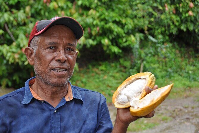 Cocoa & Artisan Chocolate Route with an Historical Tour in Puerto Plata City - Transportation, Timing, and Value