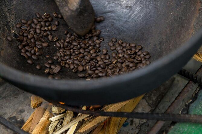 Coffee Farm Hike Through Jamaica Blue Mountains from Ocho Rios - Why This Tour Offers Good Value