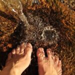 Combination: Argyle Waterfall & Tropical Garden with Hummingbirds - The Value Proposition