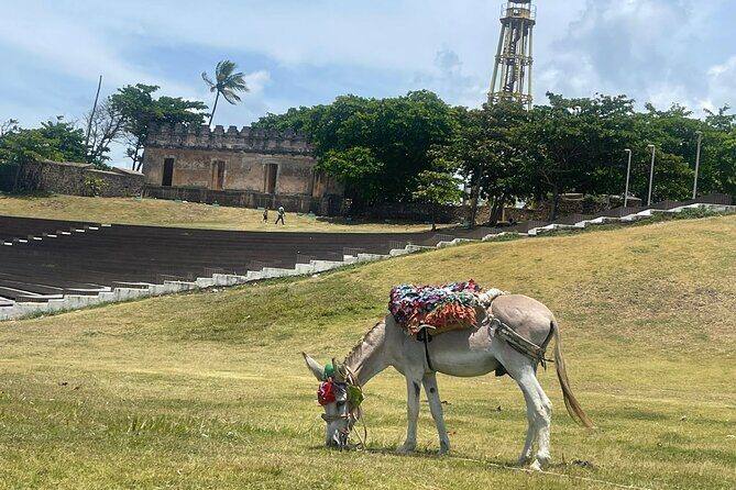 Combo : ATV Adventure with City Tour in Puerto Plata - The Sum Up