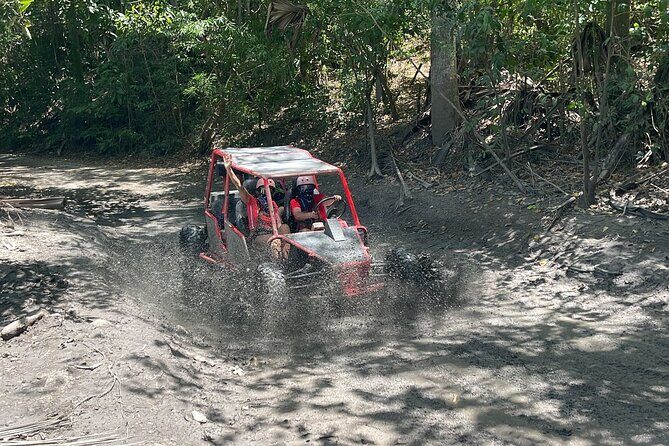 Combo Buggy and waterfall of Damajagua Adventure Puerto Plata - What Reviewers Say and Why It Matters