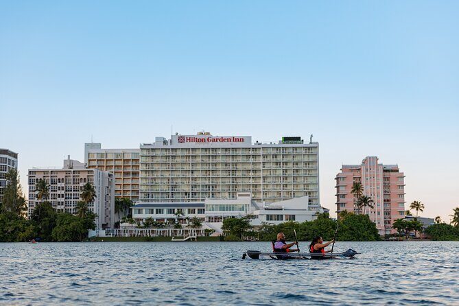 Condado Lagoon: Nature Kayak Tour - Final Thoughts: Is It Worth It?