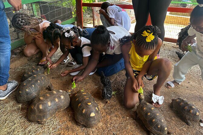 Connors Farms Petting Zoo - Final Thoughts