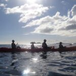 Coral Reef and Turtle Discovery Tour - Final Thoughts: A Practical, Enjoyable Marine Escape