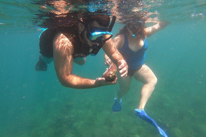Coral Reef Snorkel Adventure with Photos and Videos - FAQs