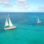Coral Sunset Sail with 3 Course Dinner in Aruba - Analyzing the Price and Value